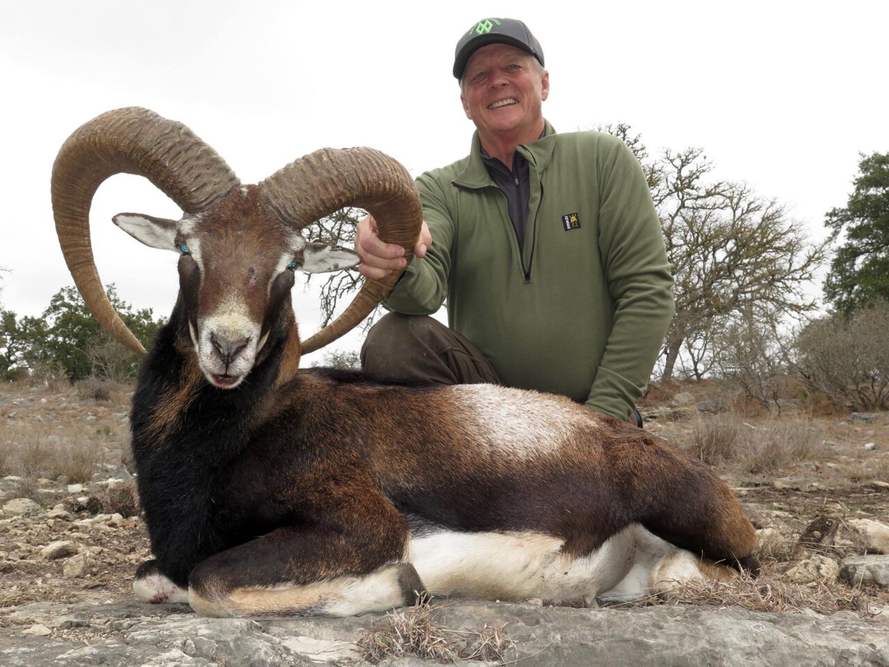 High Fence Hunting Explained: Benefits, Ethics & How to Choose the ...