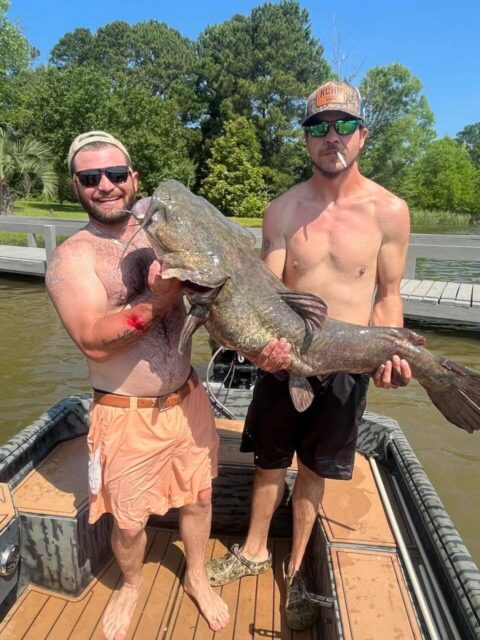 Noodling for Catfish? Here’s What You Need to Know - Venku